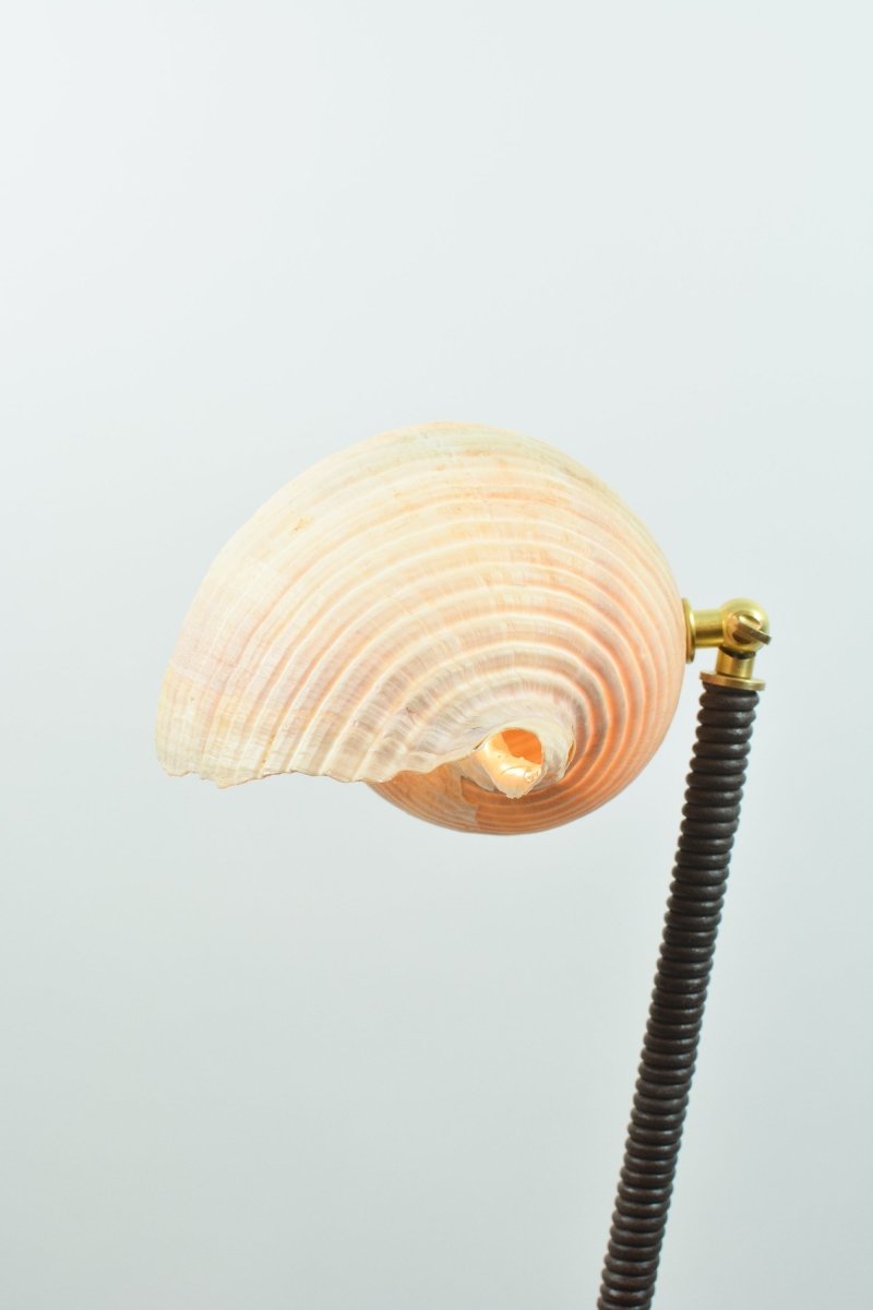 L’Escargot Table Lamp in Coiled Brown Leather with Natural Sea Snail ...