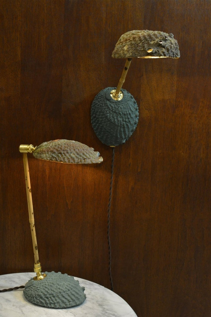 Ospedaletti Sconce w/ Abalone Shell Shade | Tennant New York