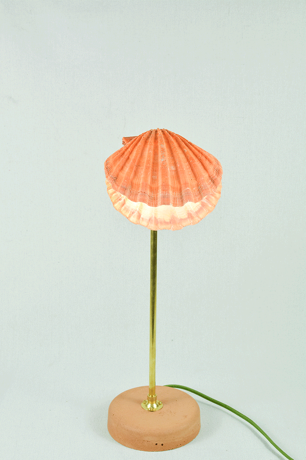 Lion's Paw Lamp with Scallop Shell Shade | Tennant New York