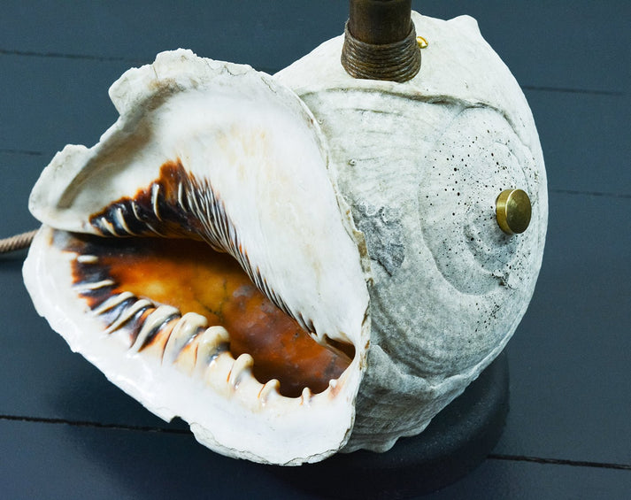 Queen Helmet Conch Shell Bamboo Lamp | Tennant New York